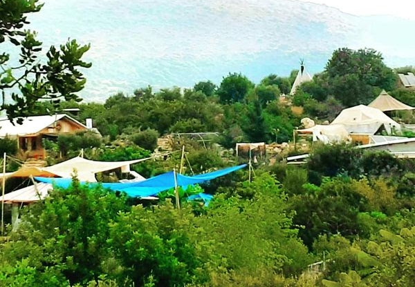 Adama Eco Village – An Ecological Community in Israel